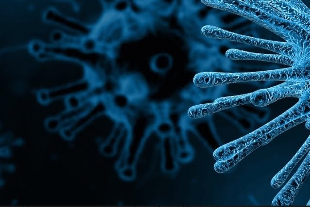 virus_tablette&mobile - Centre TMO